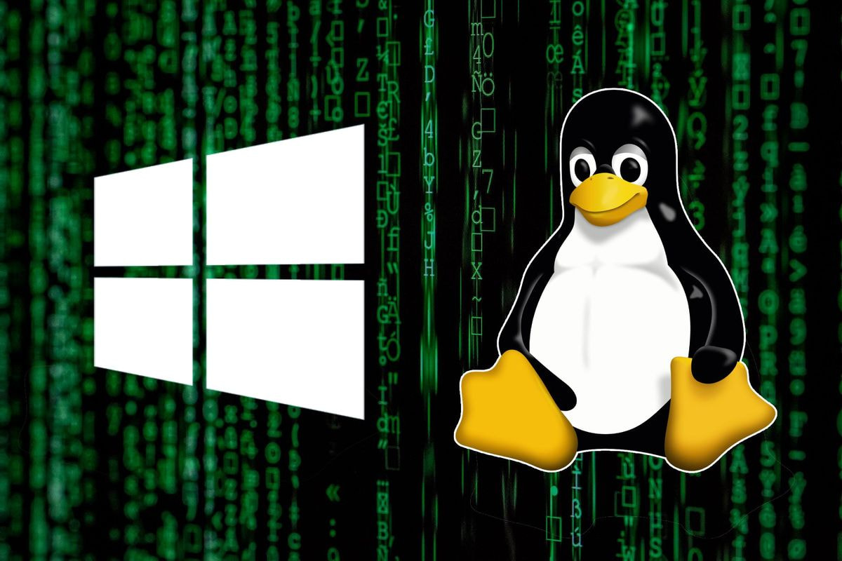 Getting Aspnet Core Dev Certs Working In Both Wsl And Windows
